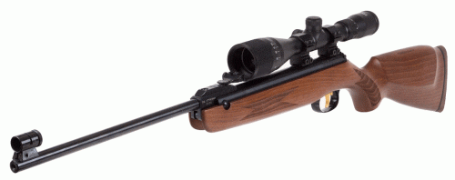 Beeman Air Rifles - Welcome to the #1 Top-Rated Air Gun Superstore in ...